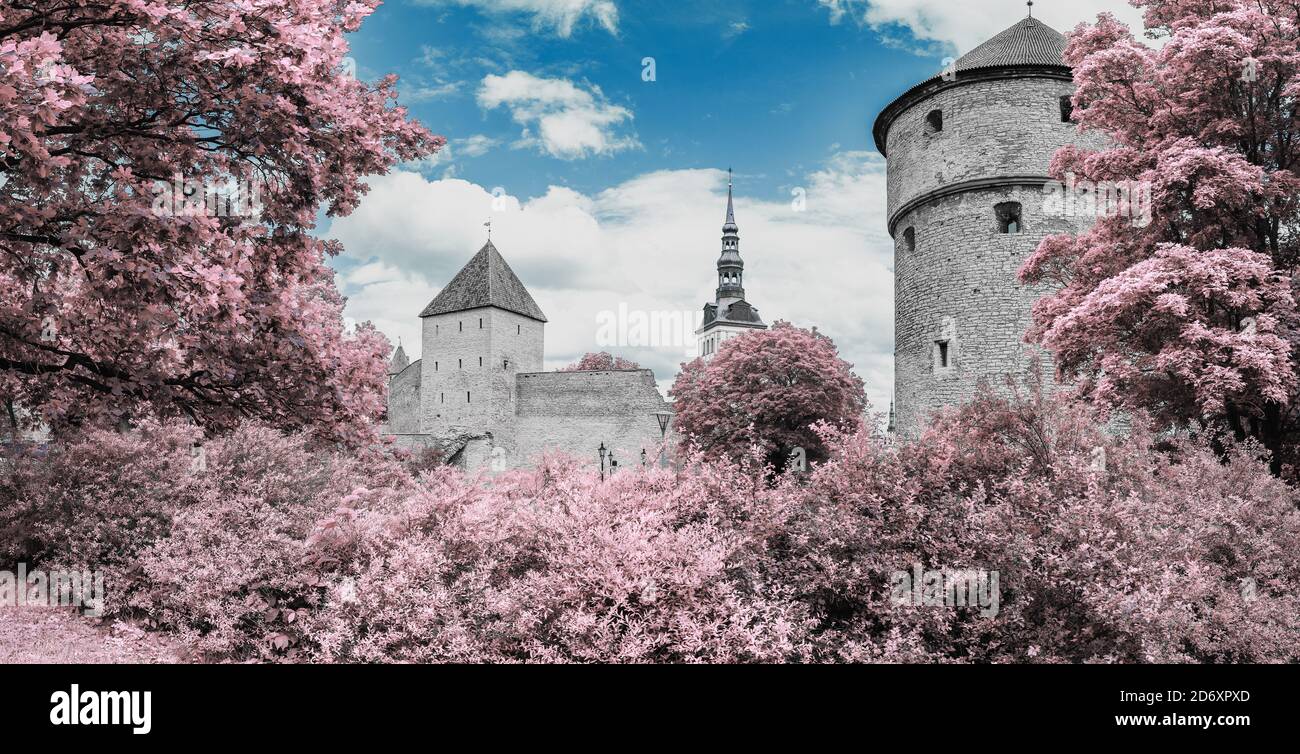 Infrared photo. picturesque and very beautiful photos of Tallinn Stock ...