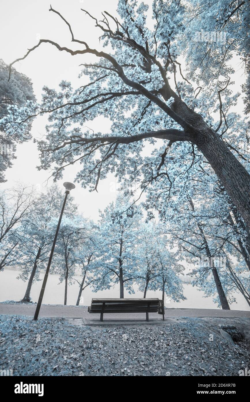 infrared photography. Nature in an unusual light Stock Photo - Alamy