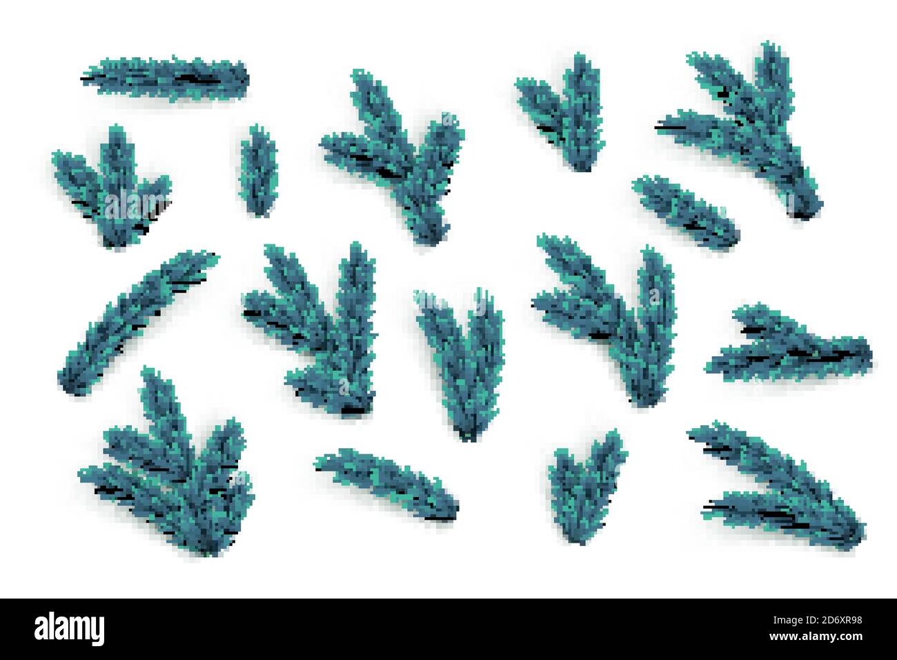 Blue realistic fir branches Cut Out Stock Images & Pictures - Alamy