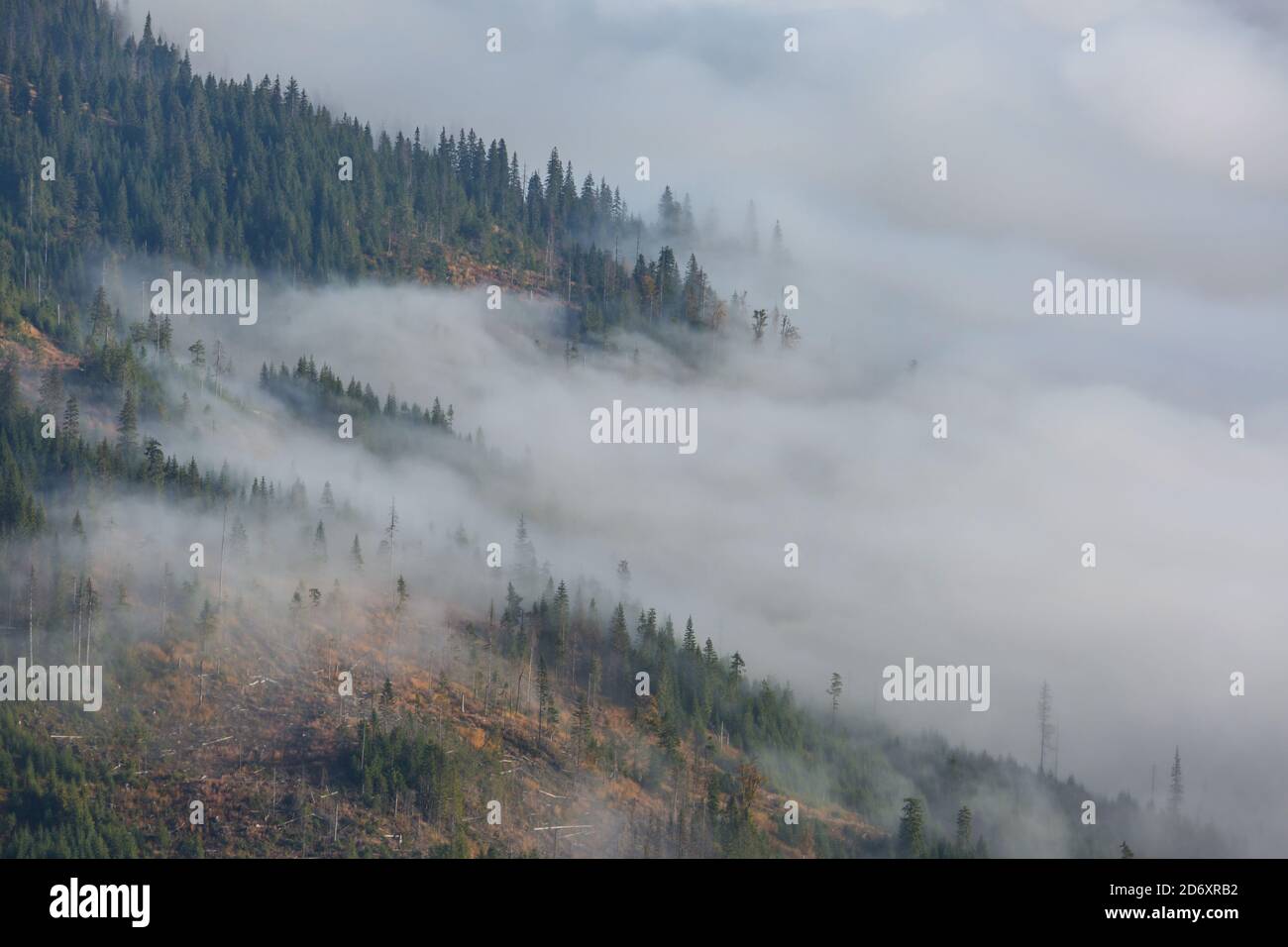 Magic mist hi-res stock photography and images - Alamy