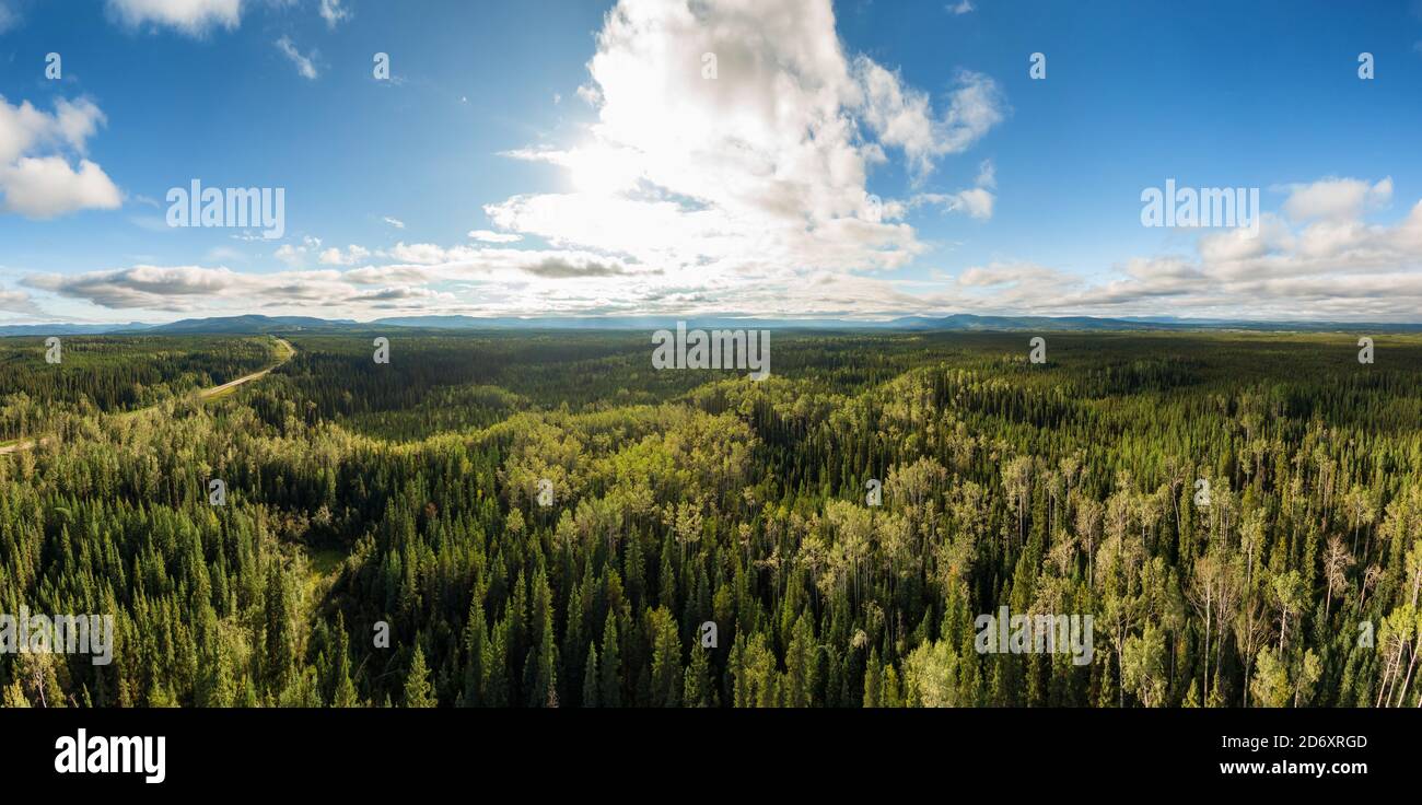 Picturesque Panoramic View of Forest from Above alongside Scenic Road ...