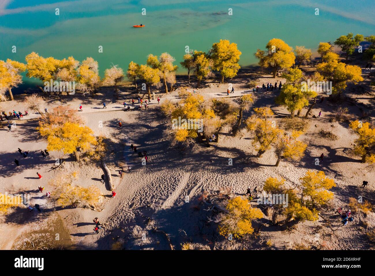 Alxa, China. 19th Oct, 2020. The beauty of Ejin Banner golden ...