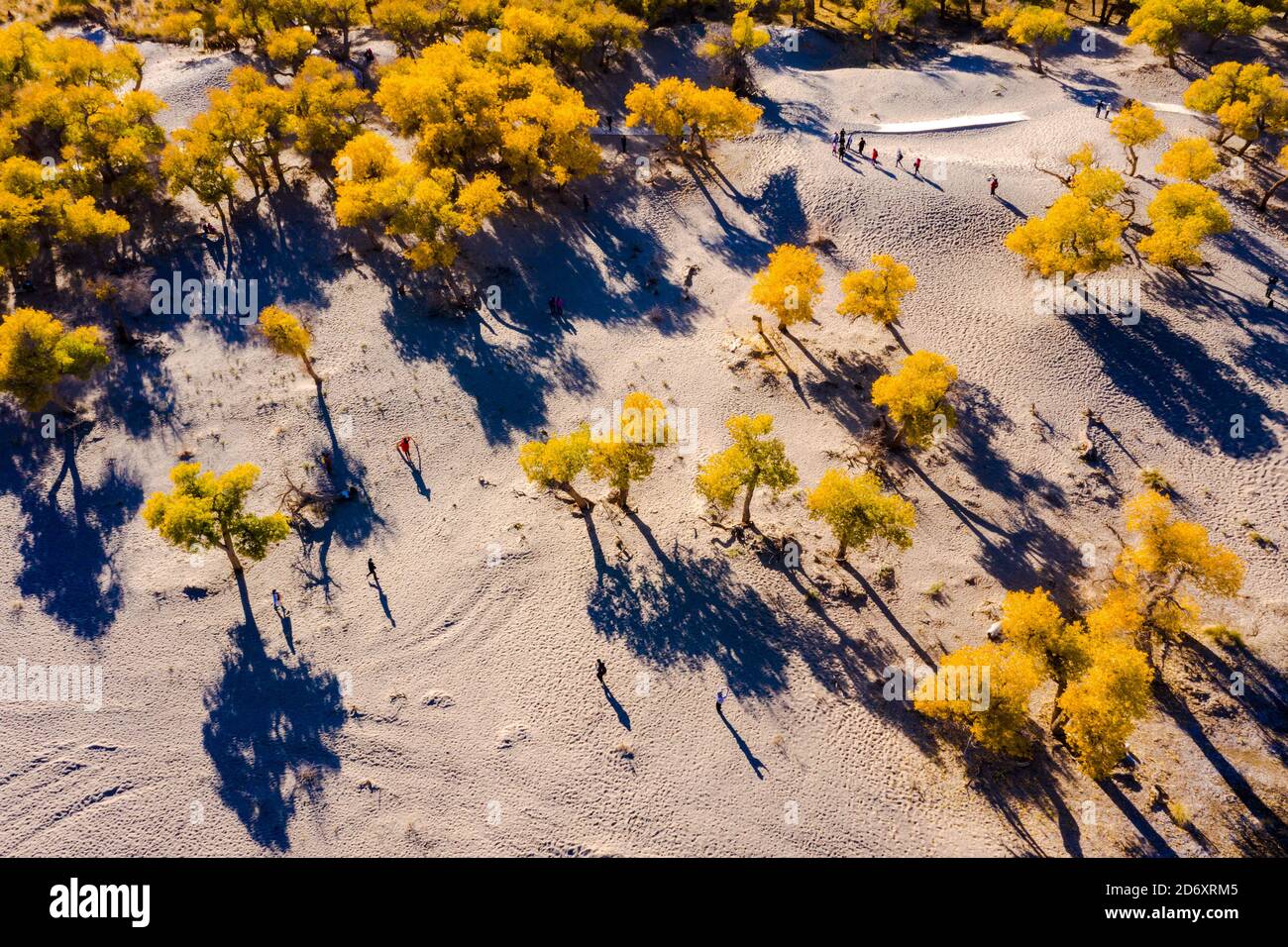 Ejin banner hi-res stock photography and images - Alamy