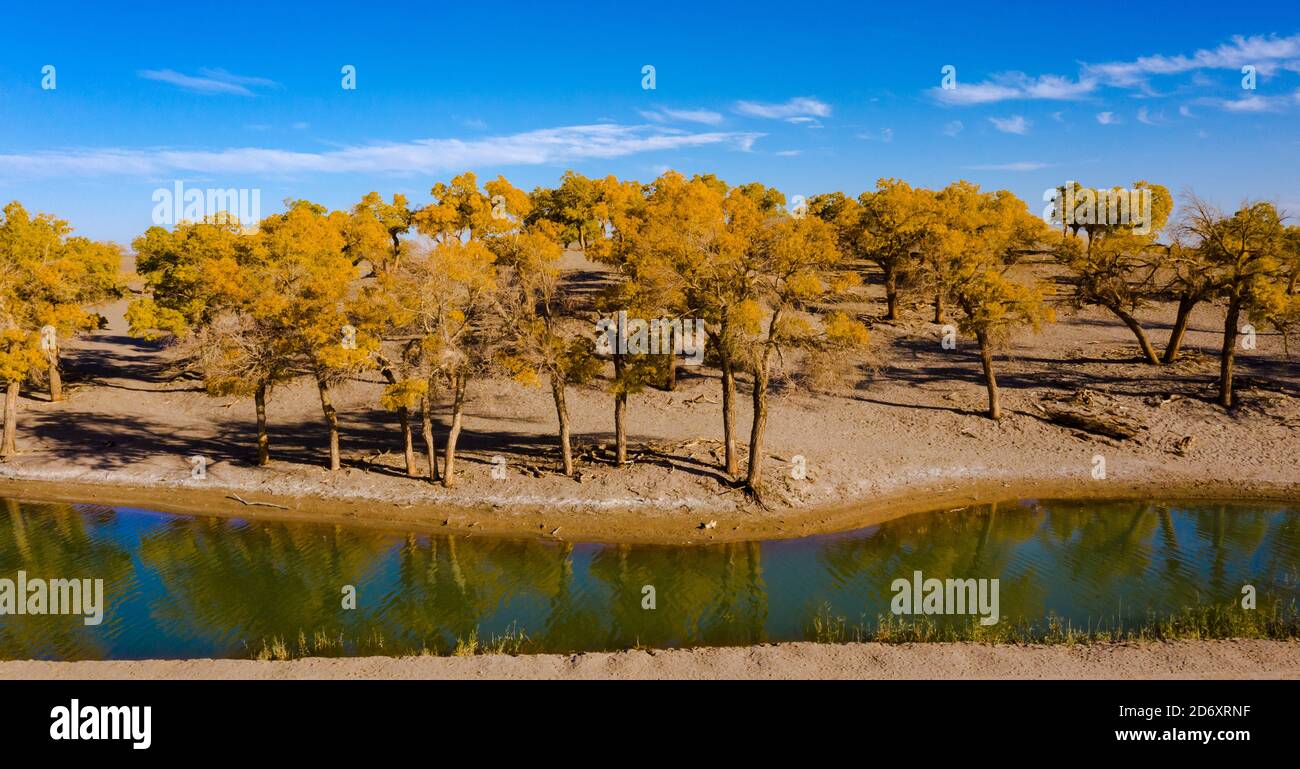 Ejin banner hi-res stock photography and images - Alamy