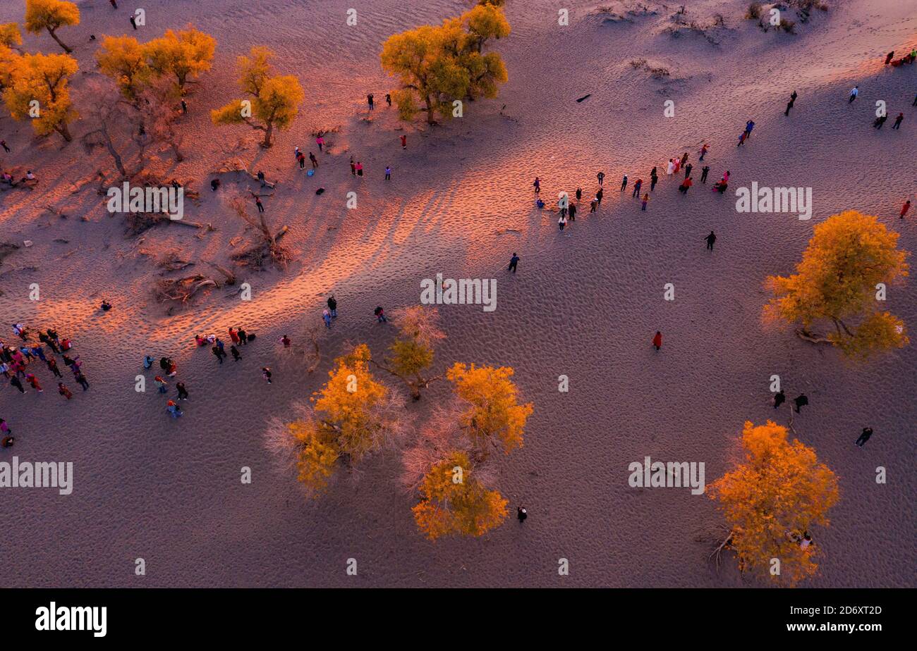 Alxa, China. 19th Oct, 2020. The beauty of Ejin Banner golden ...