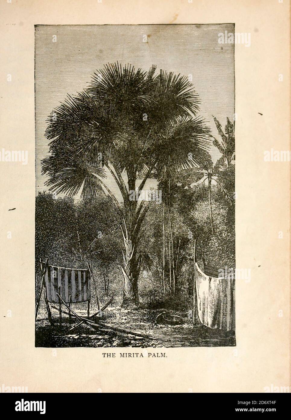 Mirita hi-res stock photography and images - Alamy