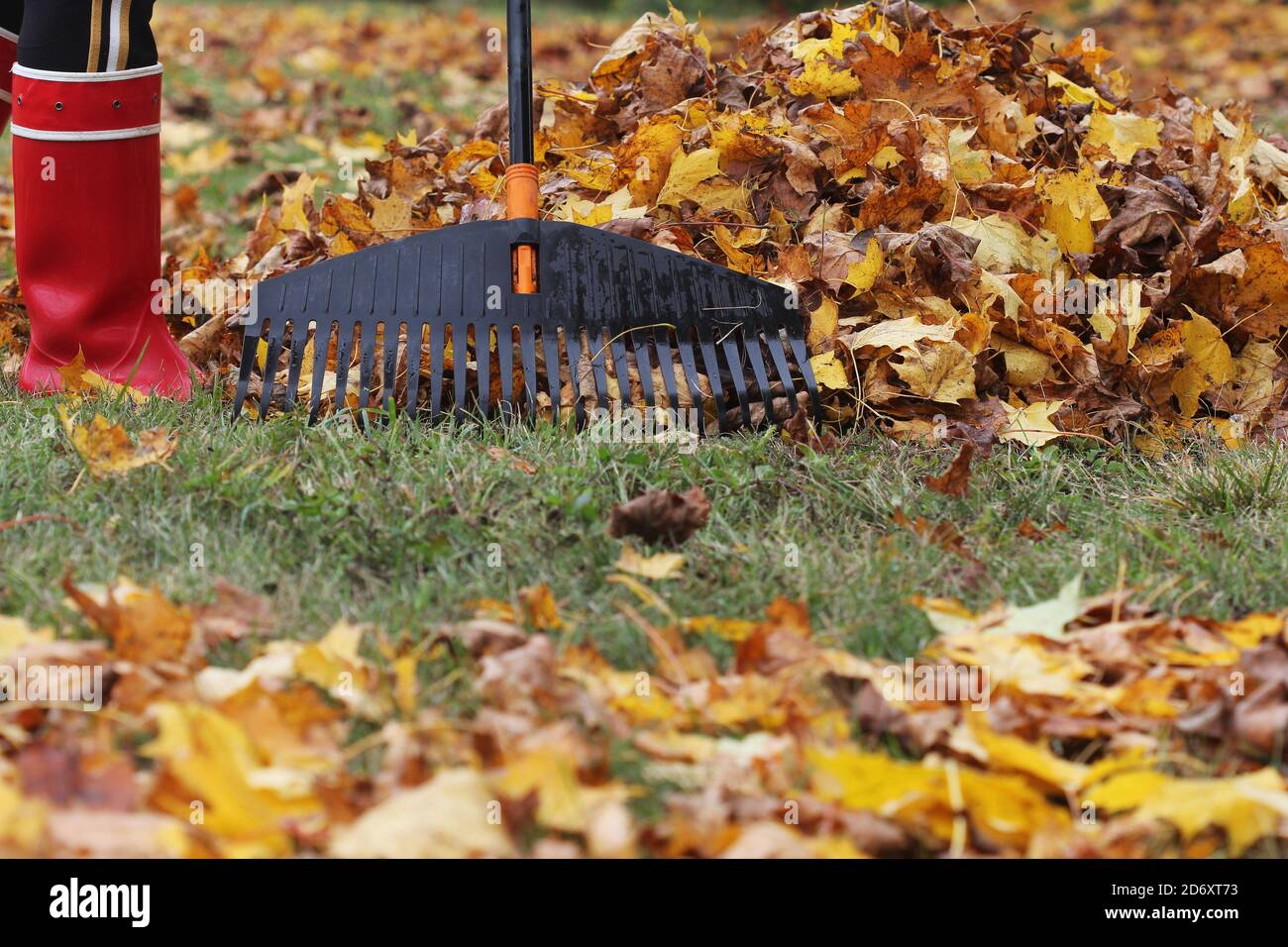 Woman rake leaves man mess hi-res stock photography and images - Alamy