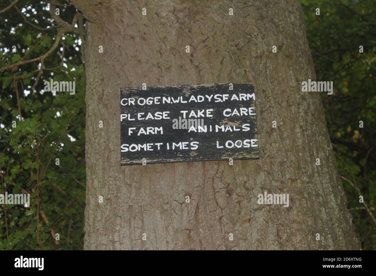 Offa's Dyke Path. National Trail. Long-distance trail. Anglo–Welsh ...