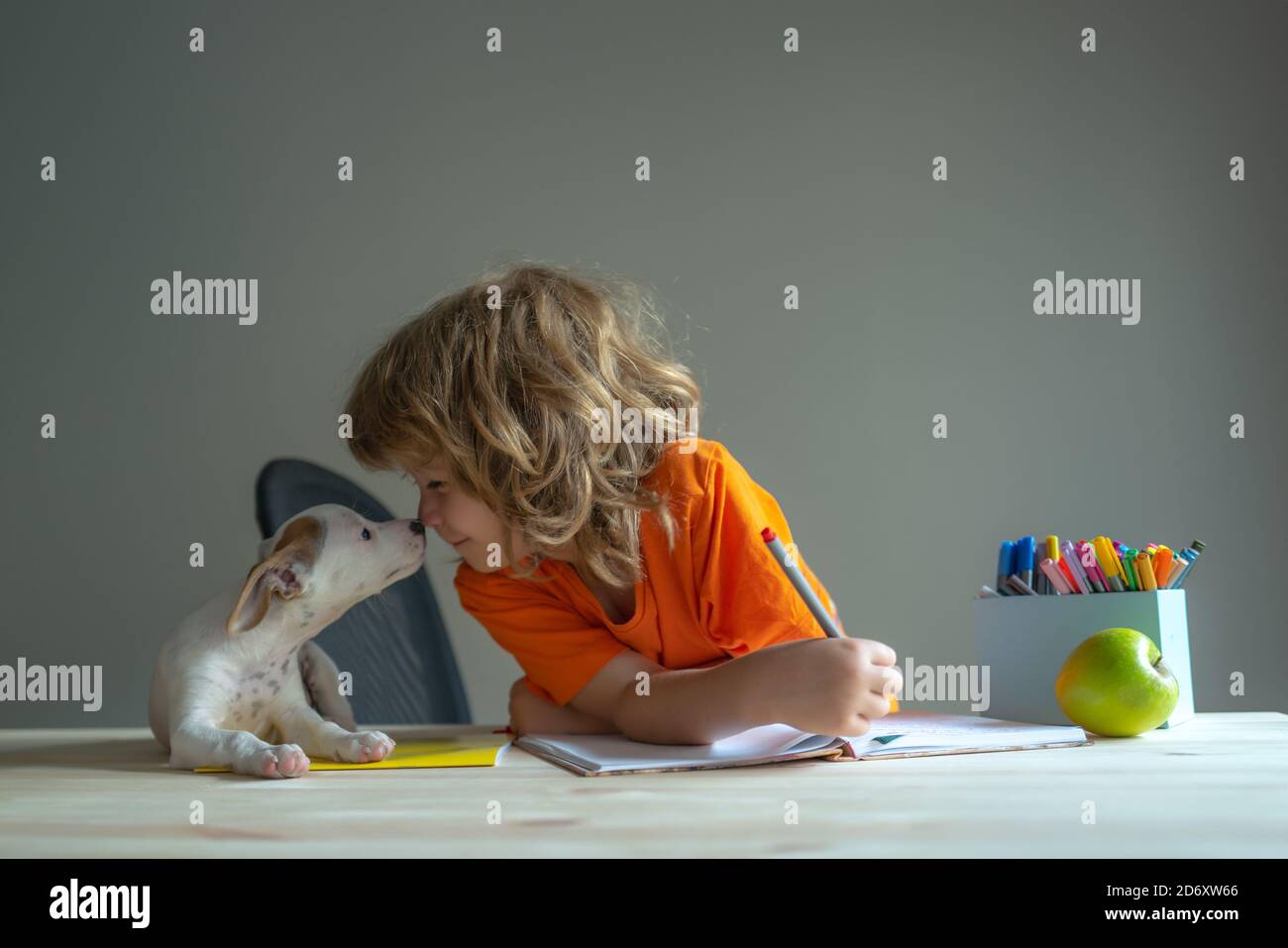 Cute child and dog playing at home. Back to school. A Cute little boy ...