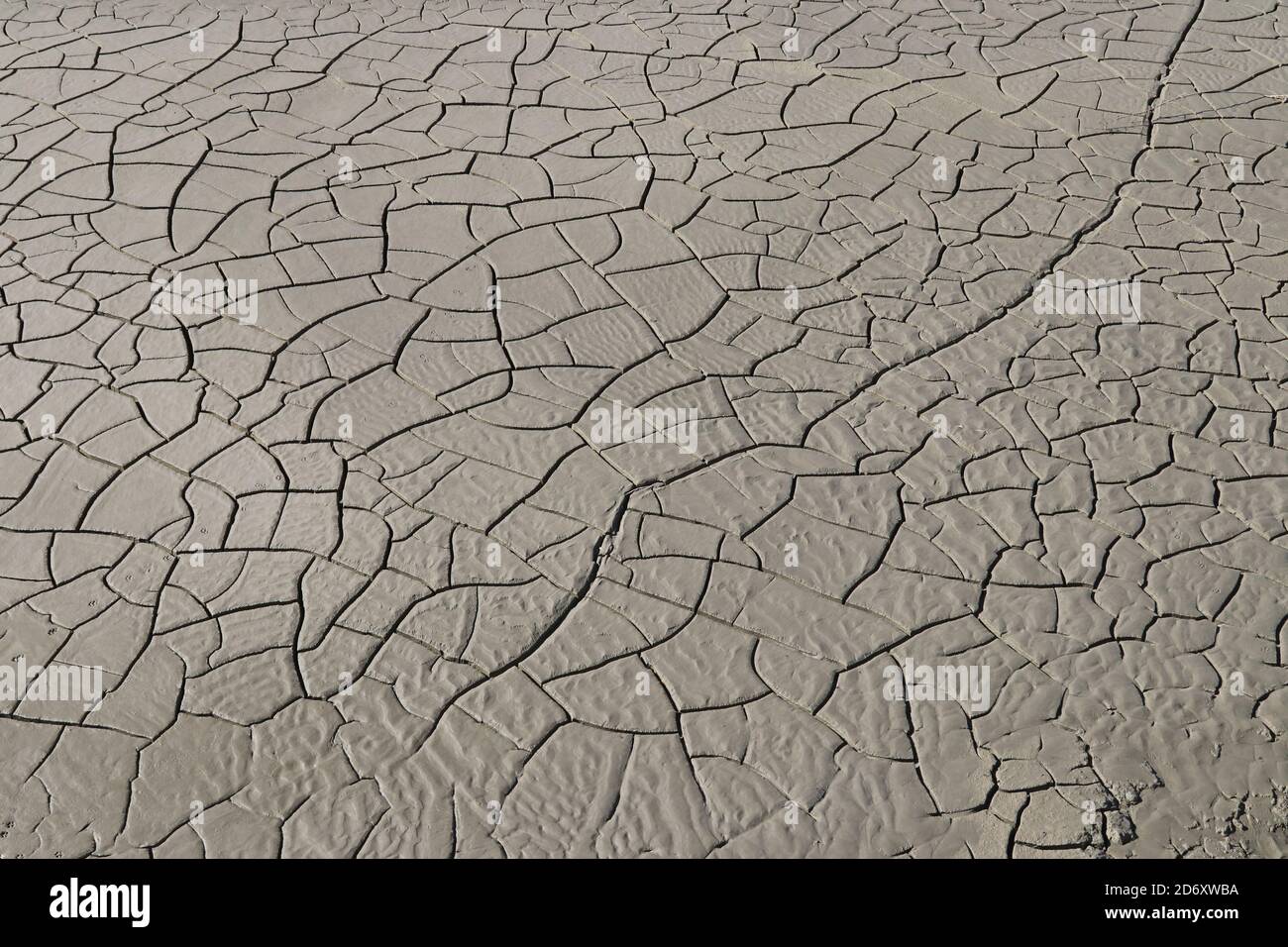Natural cracks in the mud of a river Stock Photo - Alamy
