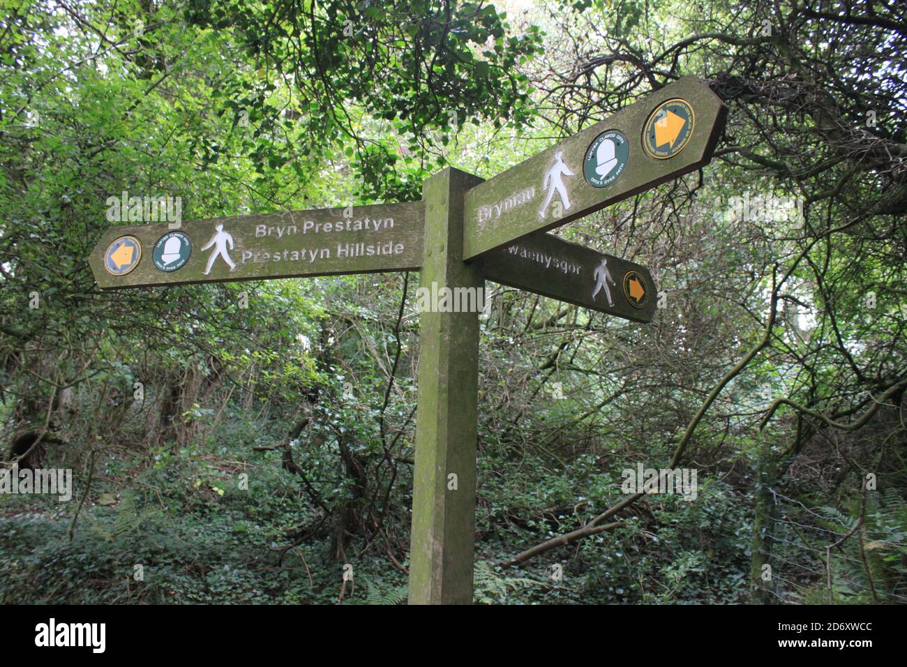 Offa's Dyke Path direction signpost. National Trail. Long-distance ...