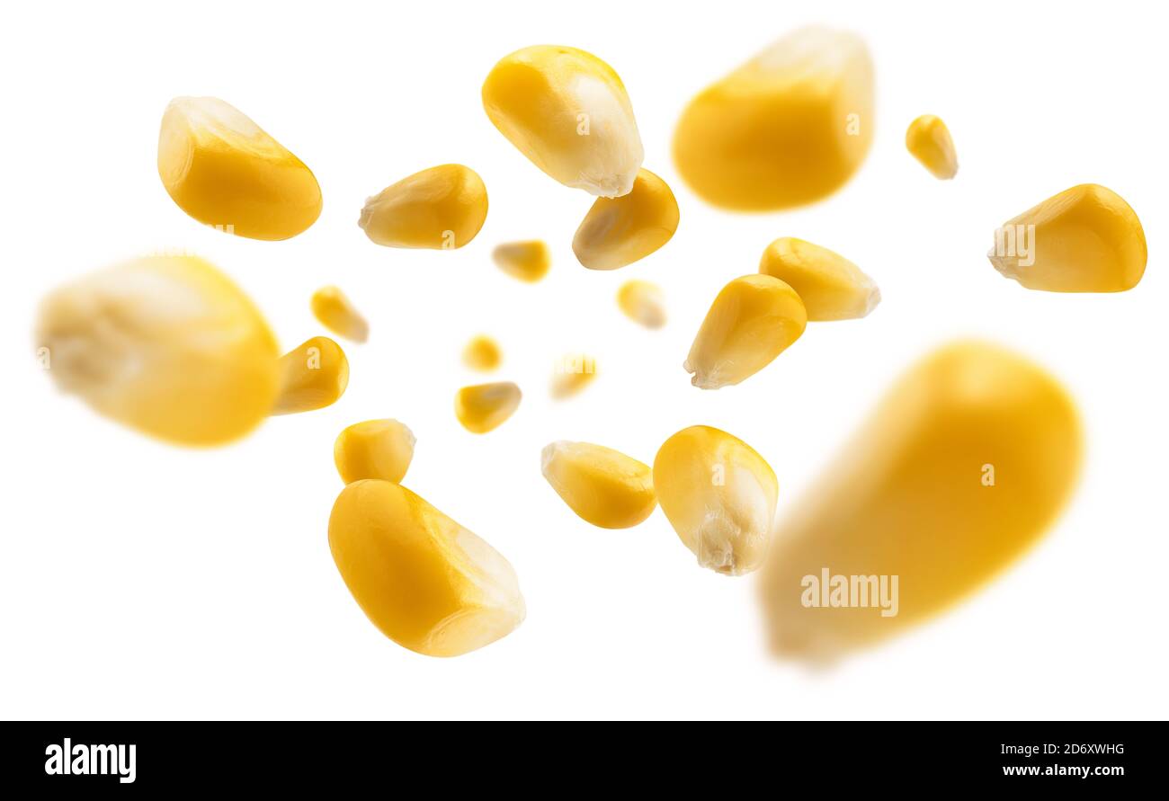 Corn seed falling hi-res stock photography and images - Alamy