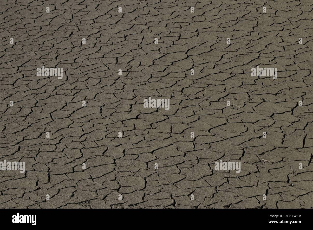 Natural cracks in the mud of a river Stock Photo - Alamy