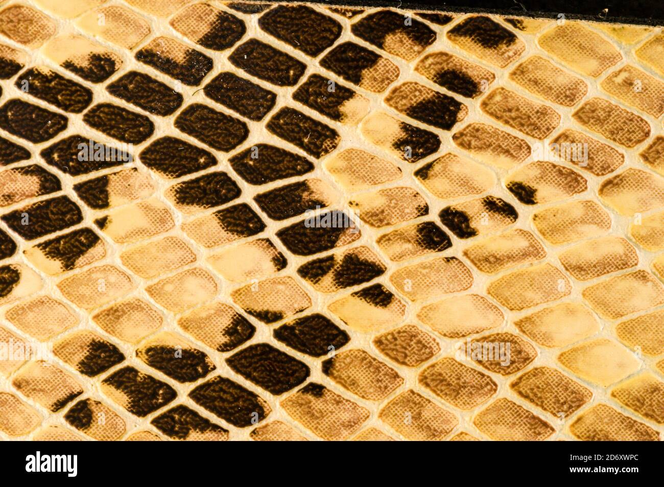 Snake skin pattern background Stock Photo - Alamy