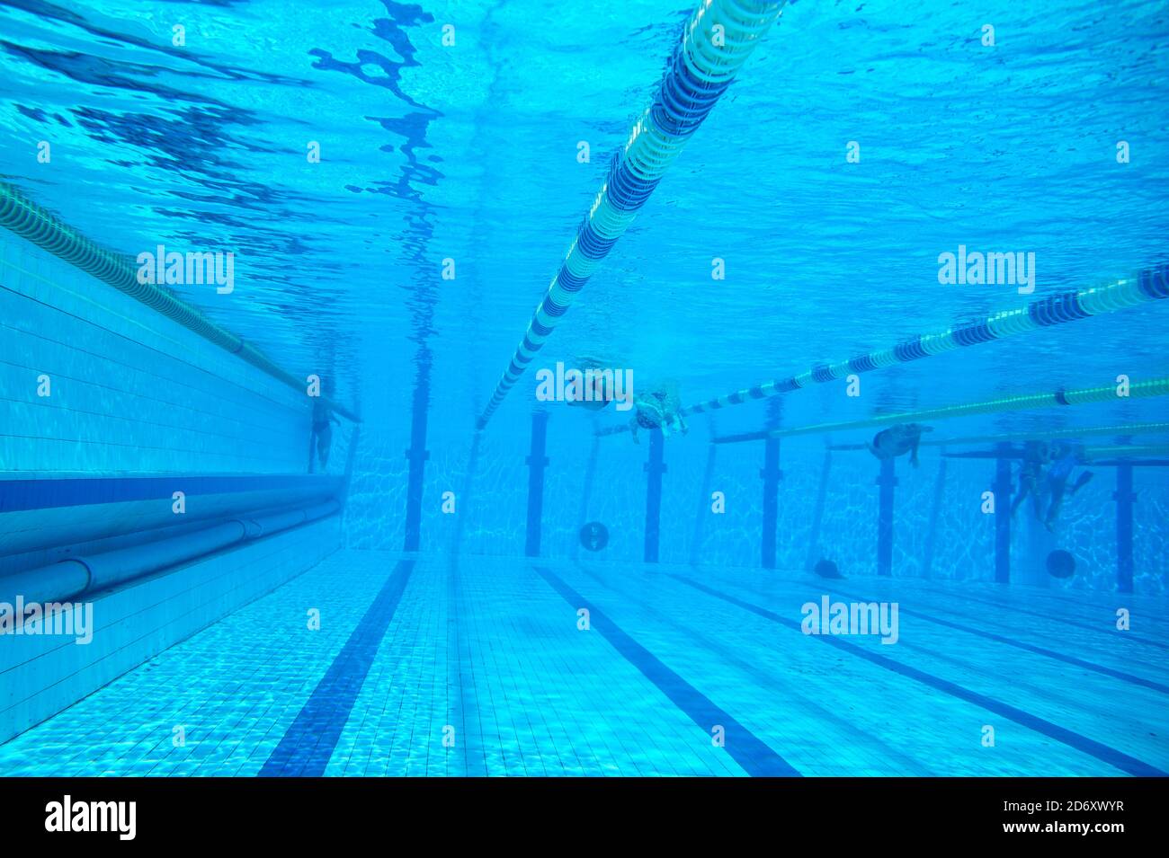Large Swimming pool with dividing lines under water Stock Photo - Alamy