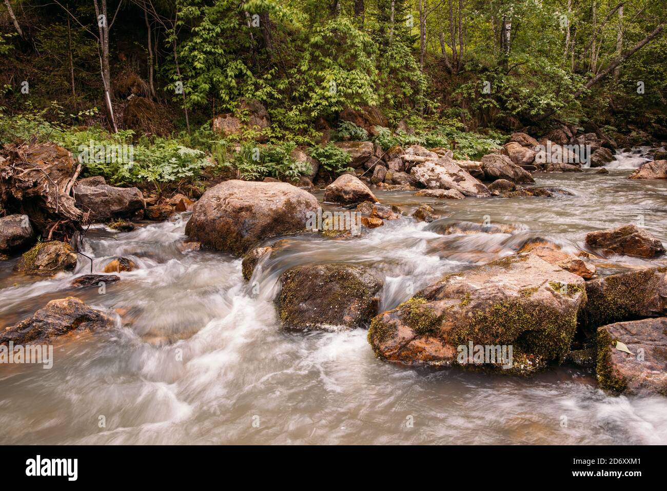 Bulihan hi-res stock photography and images - Alamy