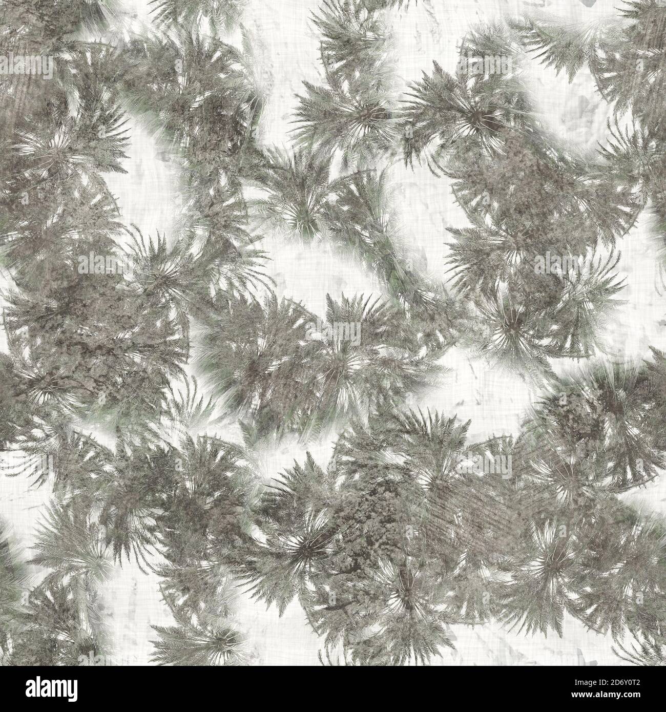 Neutral tropical palm tree leaves seamless pattern Stock Photo - Alamy