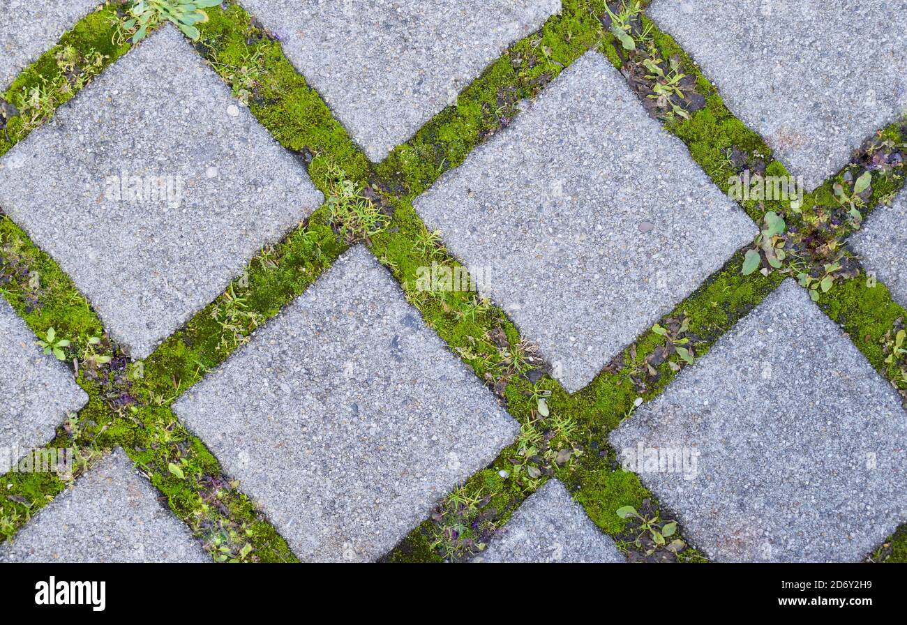 Stone Pathway Walkway or Pavement Textured Background With Grass and ...