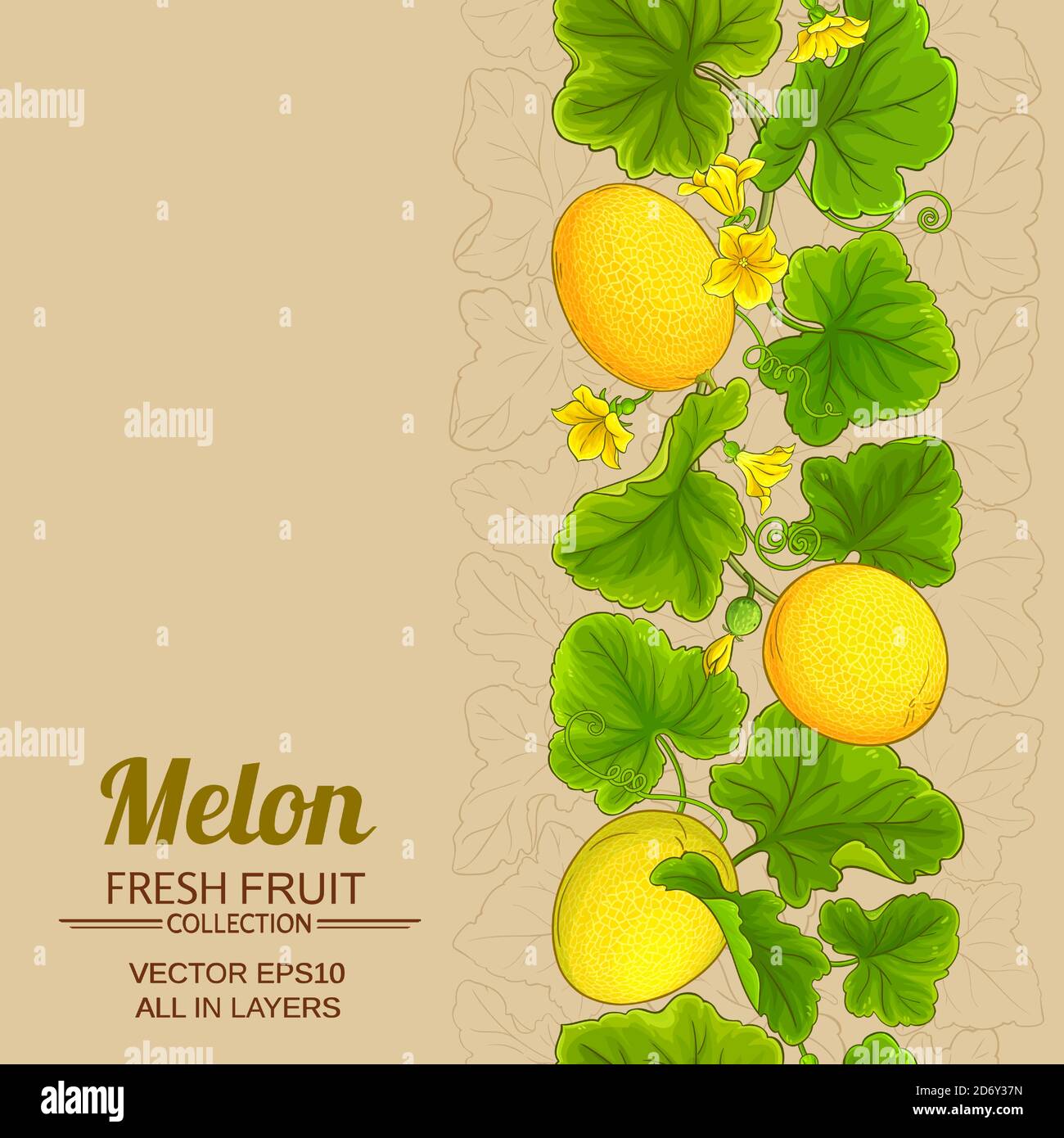 Melon yellow slice cartoon Stock Vector Images - Alamy