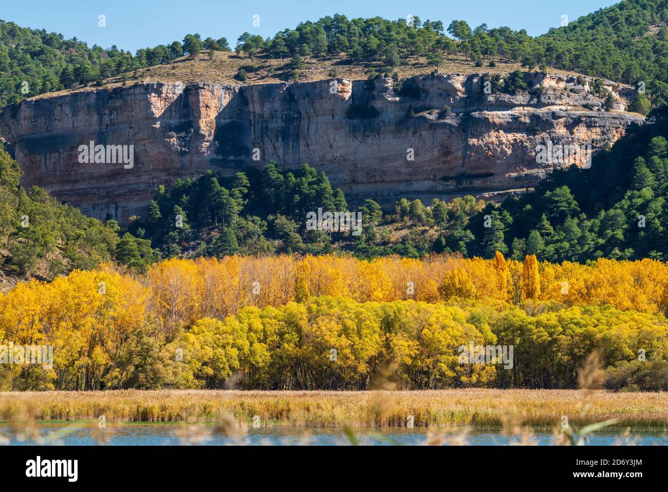 Huge leafs hi-res stock photography and images - Alamy