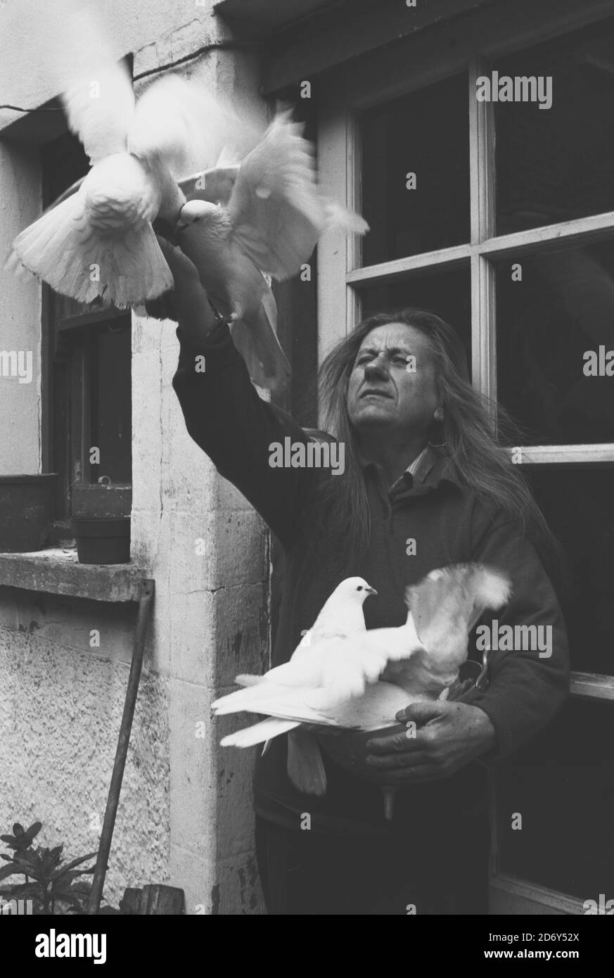 Jean cooke hi-res stock photography and images - Alamy