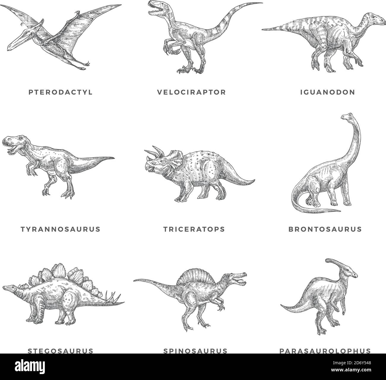 Prehistoric Dinosaurs Sketch Signs, Symbols or Illustrations Set. Hand ...