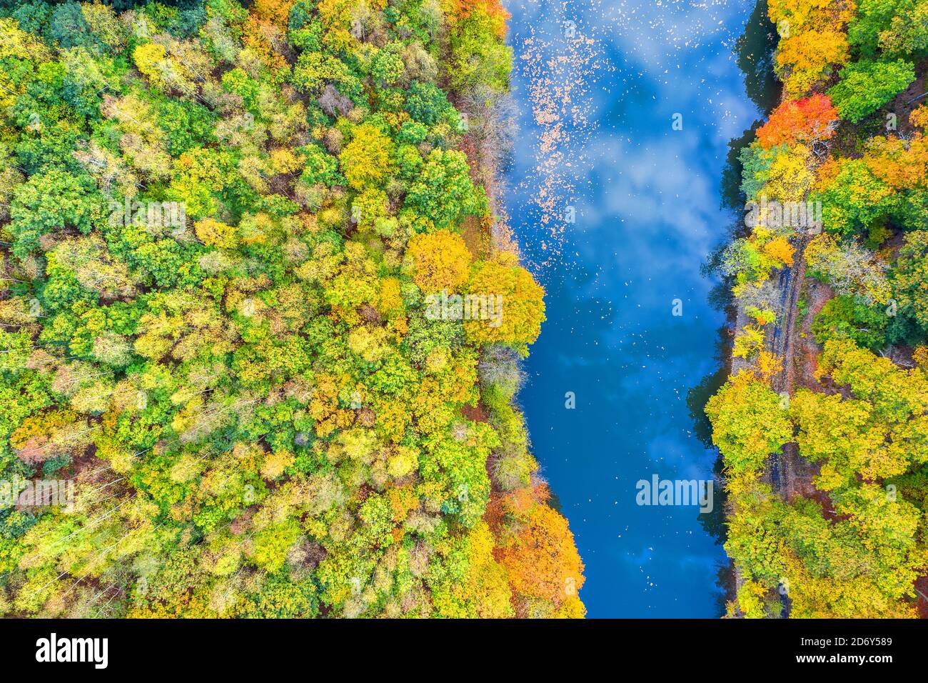an autumn river from above Stock Photo - Alamy