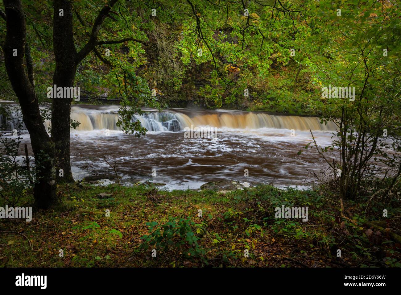 The river Tawe in the Swansea Valley Stock Photo - Alamy