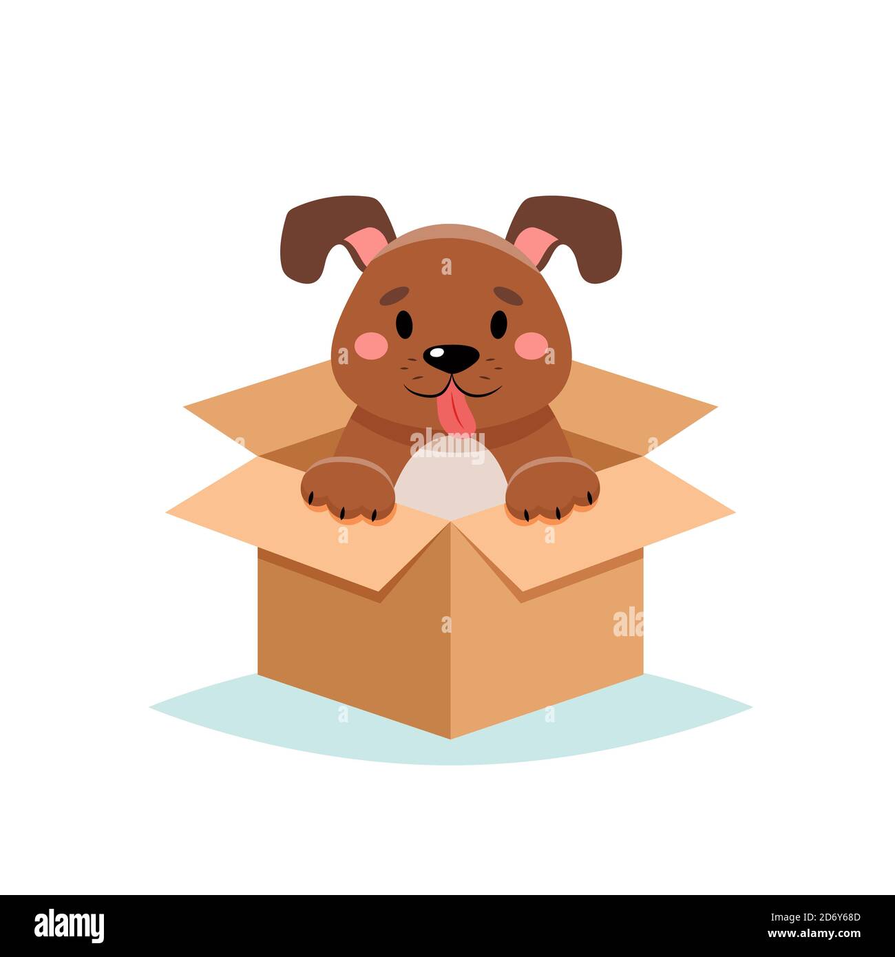 Adopt a pet - cute dog in a box, isolated on white background Stock ...