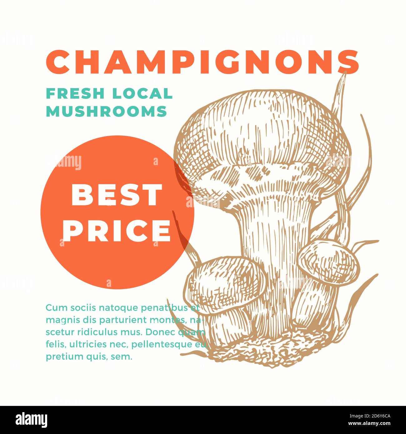 Group mushroom illustration drawing engraving hi-res stock photography ...