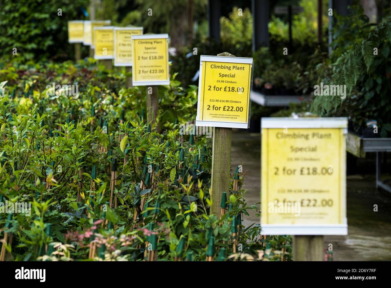 Information and price signs in a garden nursery centre Stock Photo - Alamy