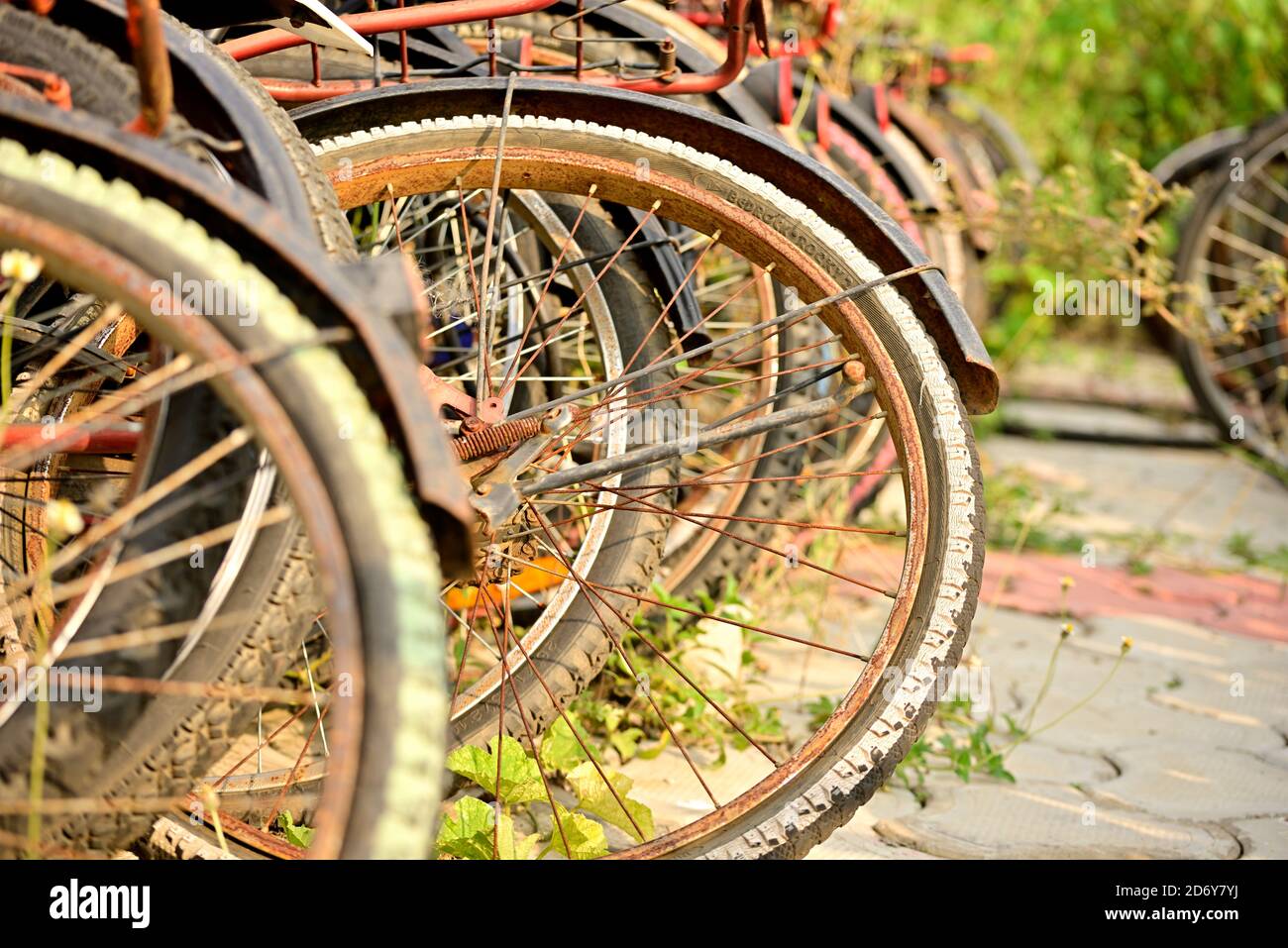 A row of A row of bicycles are parked beside road. View of back wheels ...