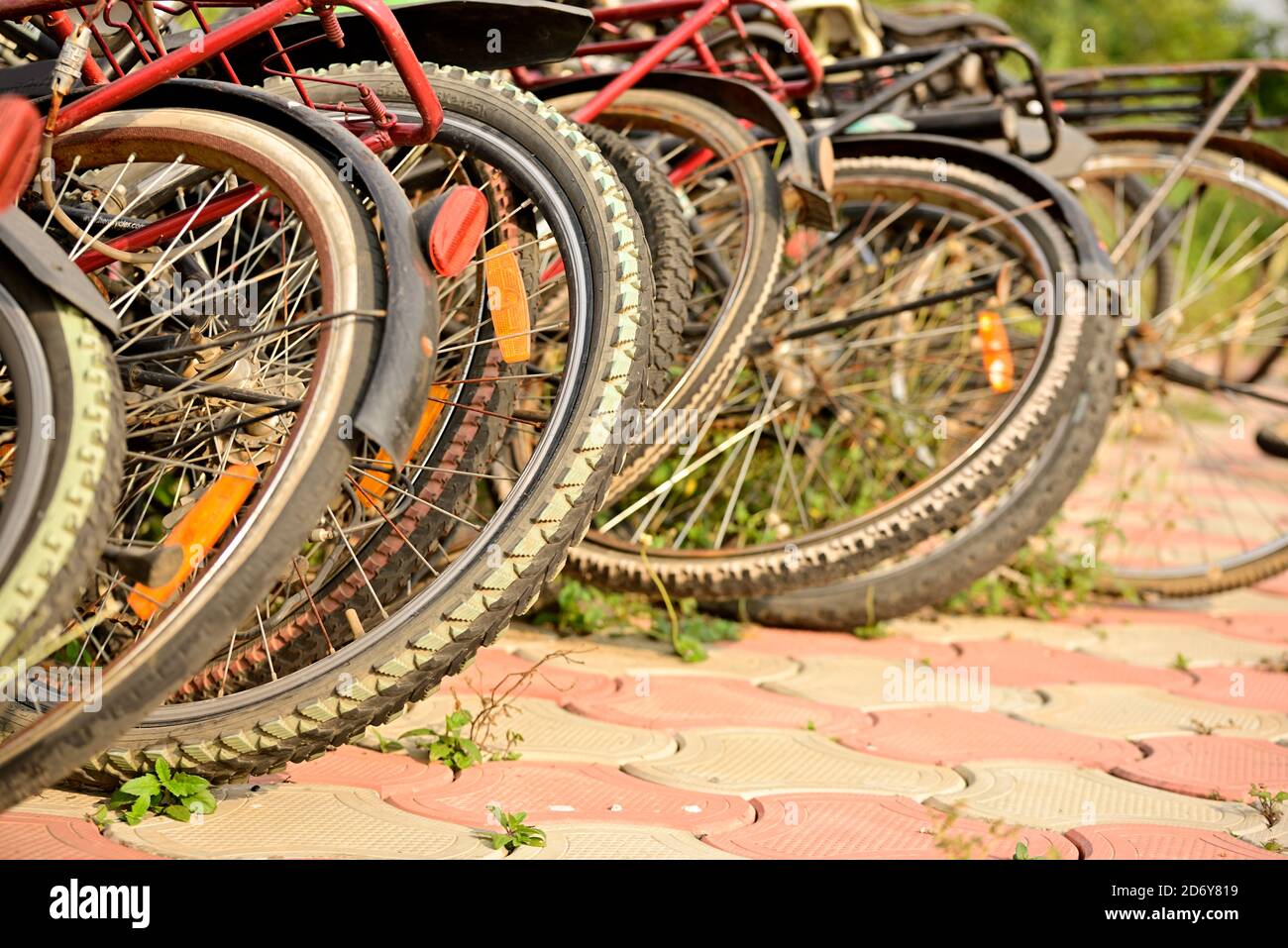 A row of A row of bicycles are parked beside road. View of back wheels ...