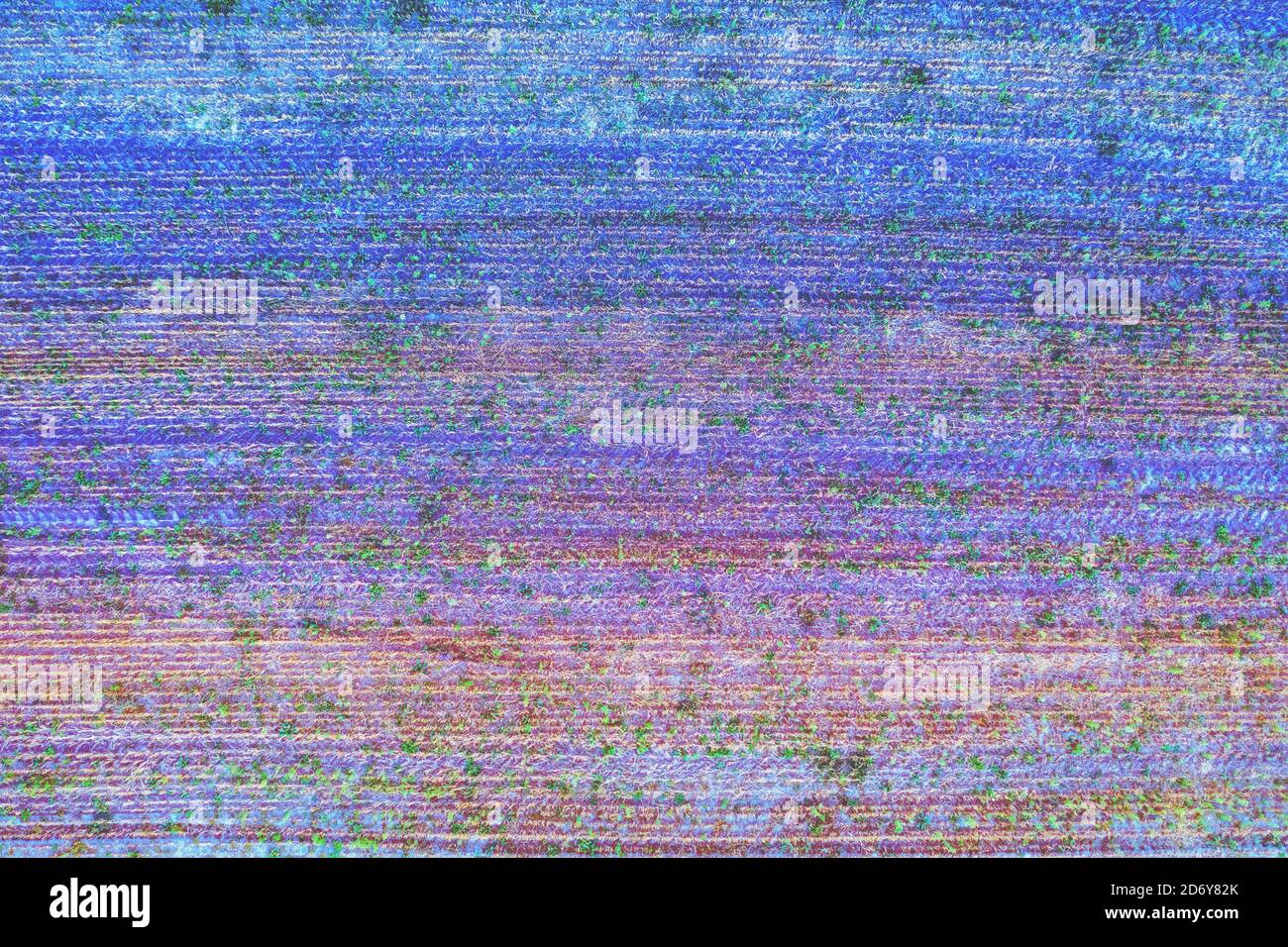 Aerial Top View Of The Colorful Geometric Wheat Field Abstract Rural
