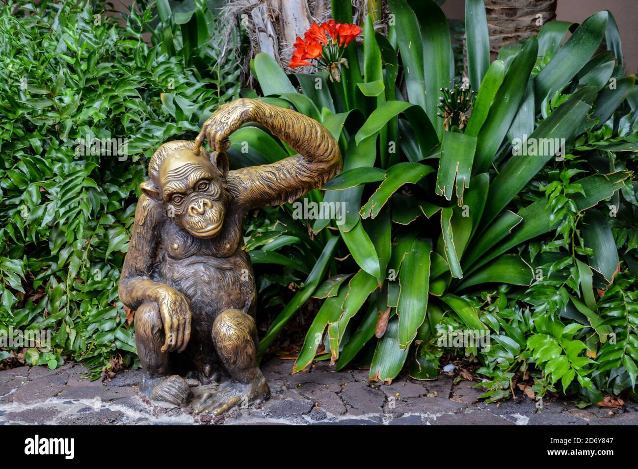 Statue of Chimpanzee Stock Photo - Alamy