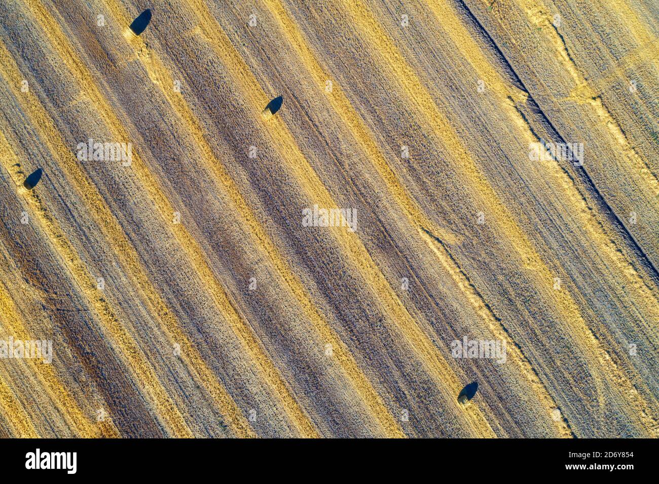 Aerial top view of the colorful geometric wheat fields with straw bales ...