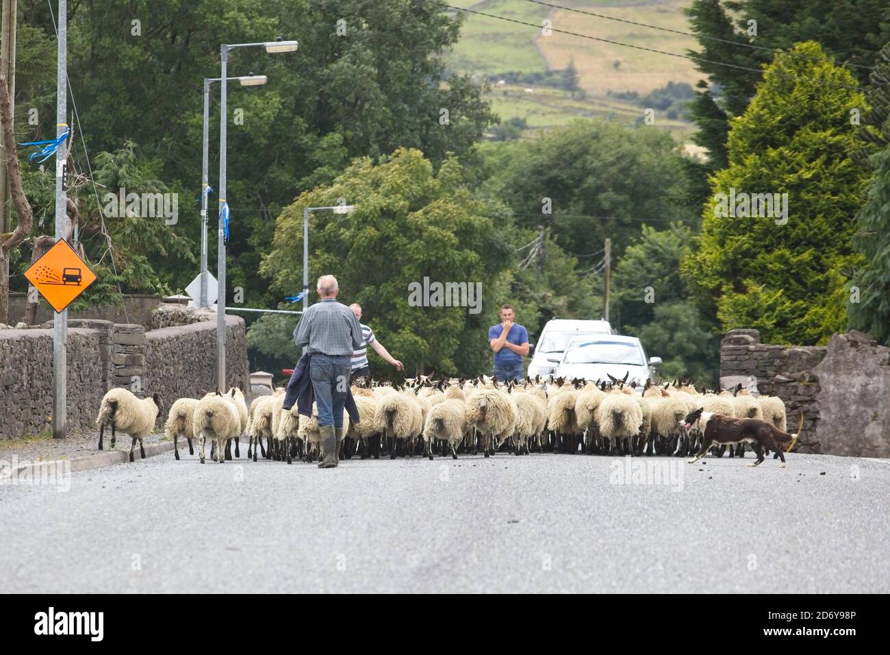Photograph by David Ruffles Stock Photo - Alamy