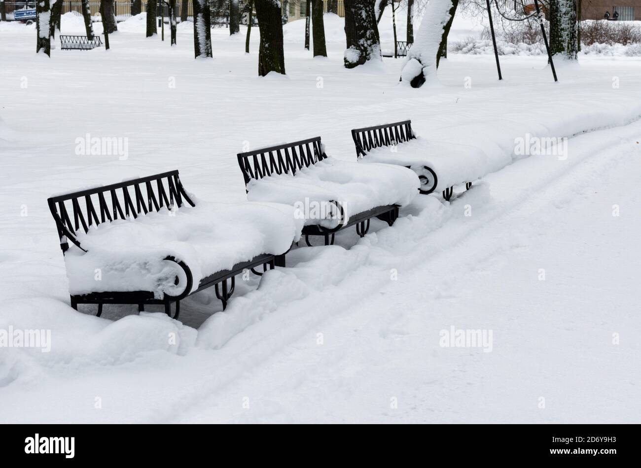 Winter scene with three benches covered in snow in a city park Stock ...
