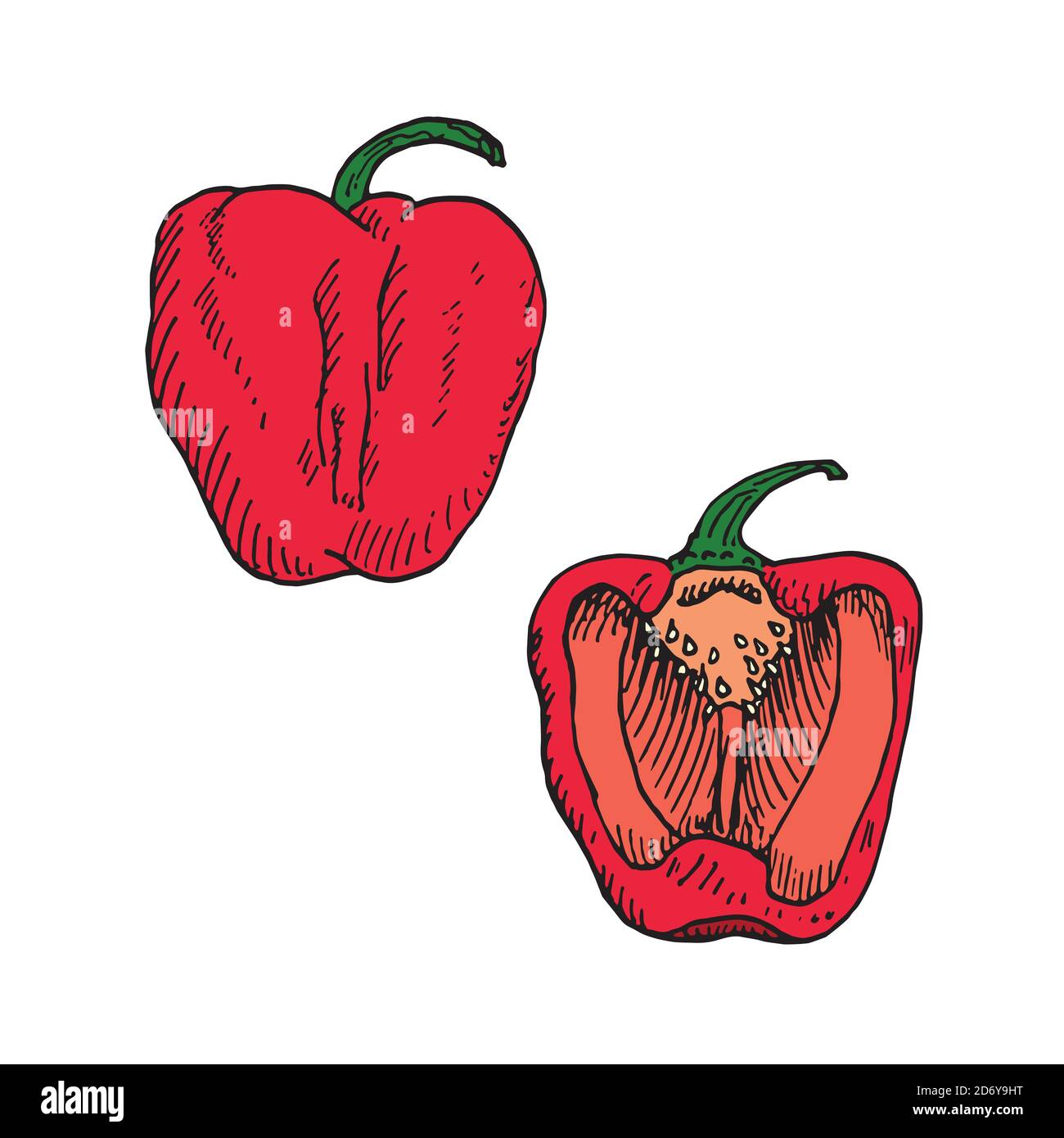 Pepper and cut slice, hand drawn doodle, drawing, sketch, color ...