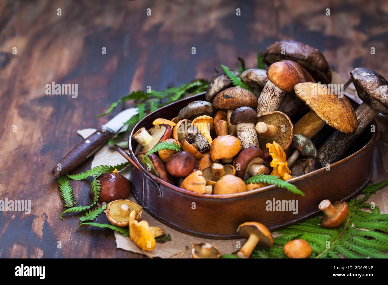 Autumn mushroom background hi-res stock photography and images - Alamy