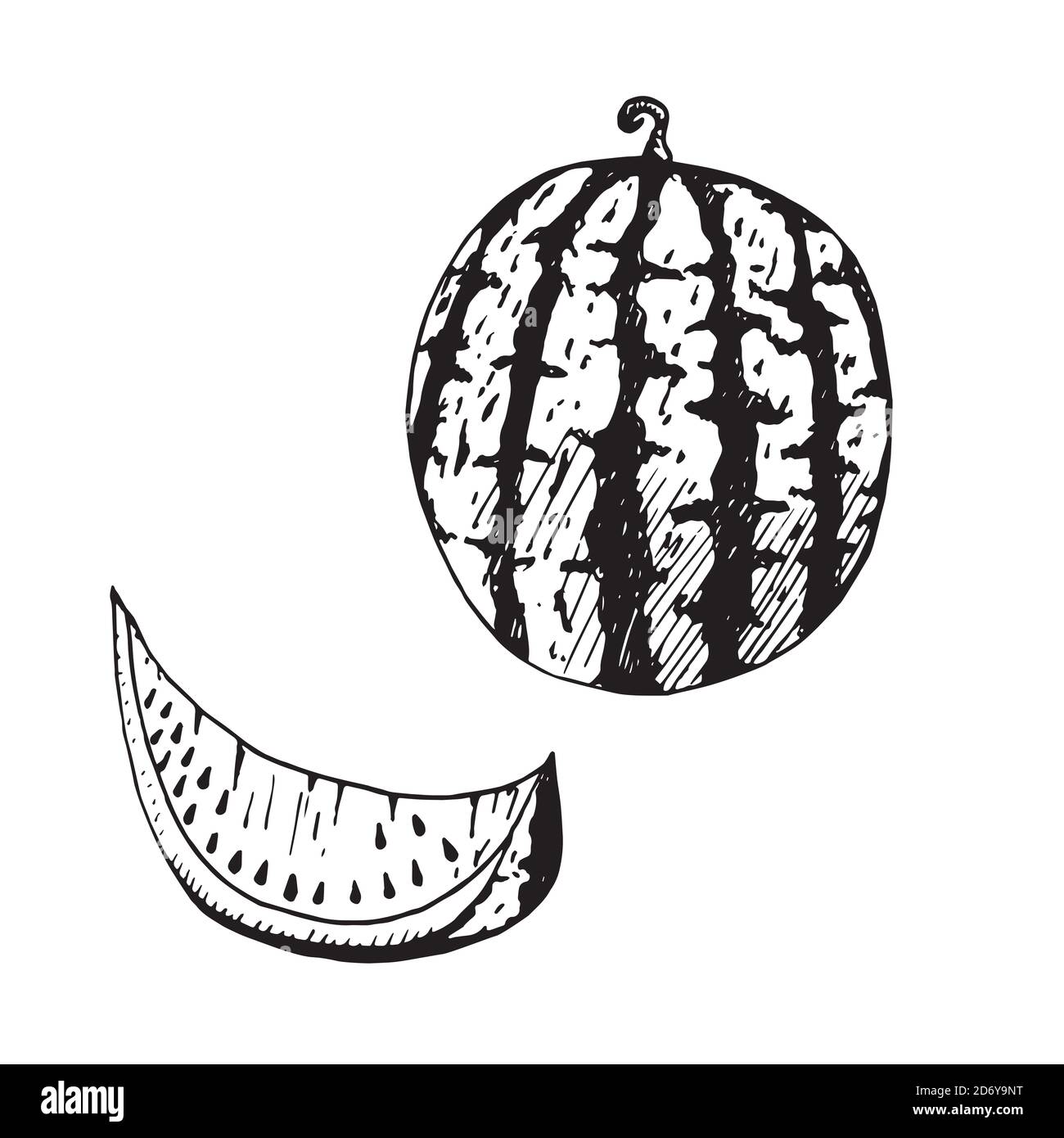 Watermelon Drawing Outline