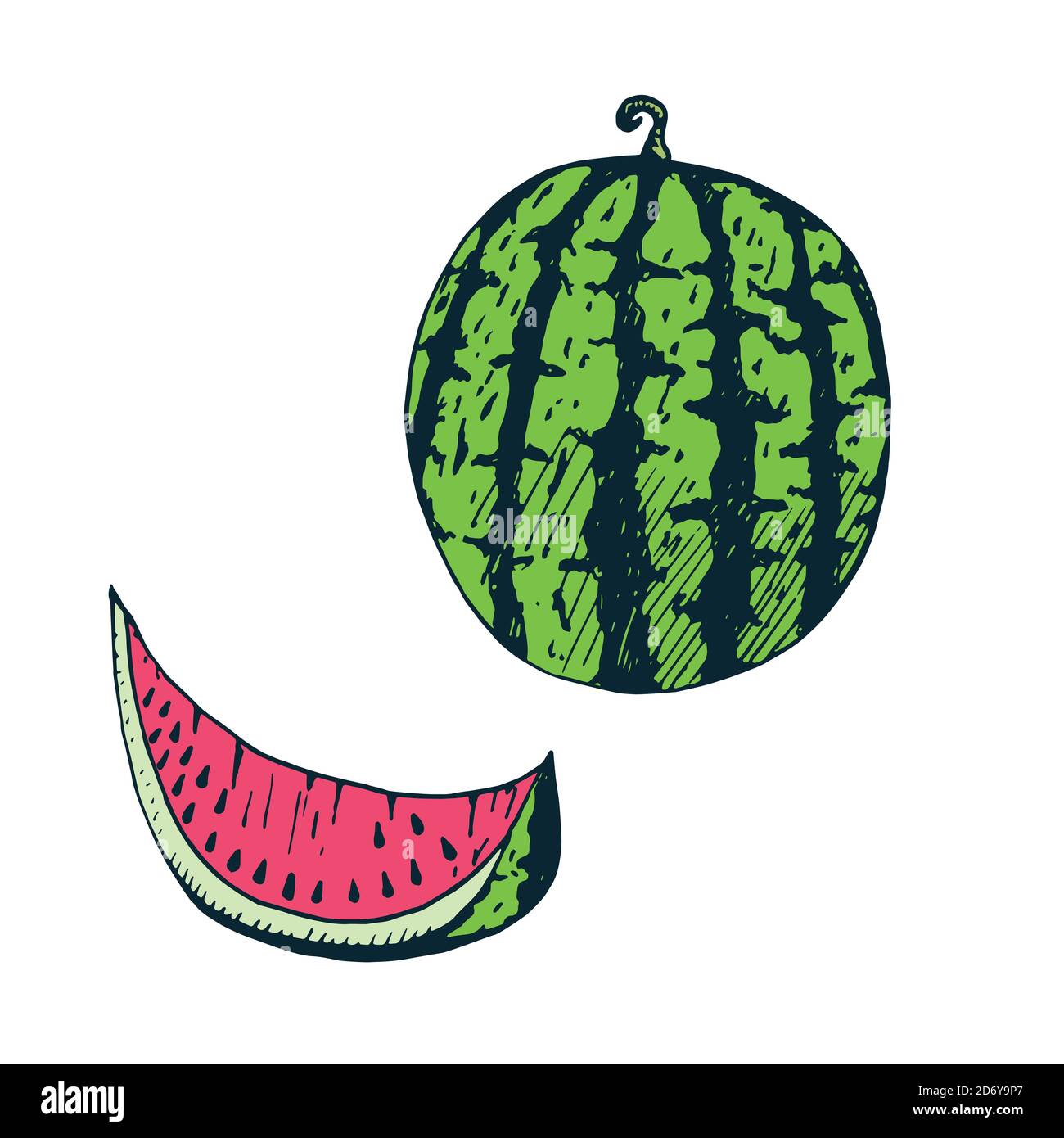 Watermelon and cut slice, hand drawn doodle, drawing, sketch, color ...