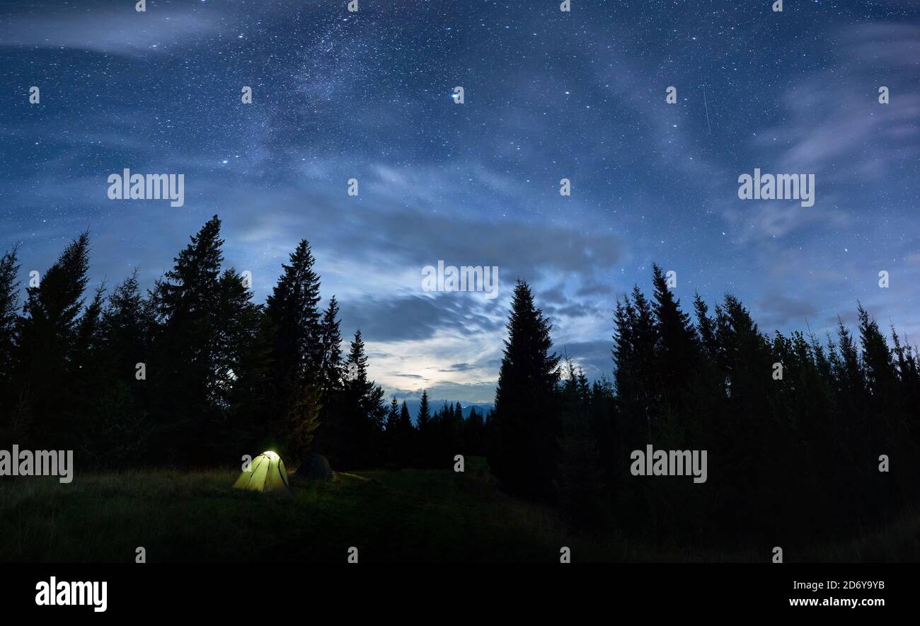 Panoramic view of night starry sky with illuminated tourist tent in forest with coniferous trees ...