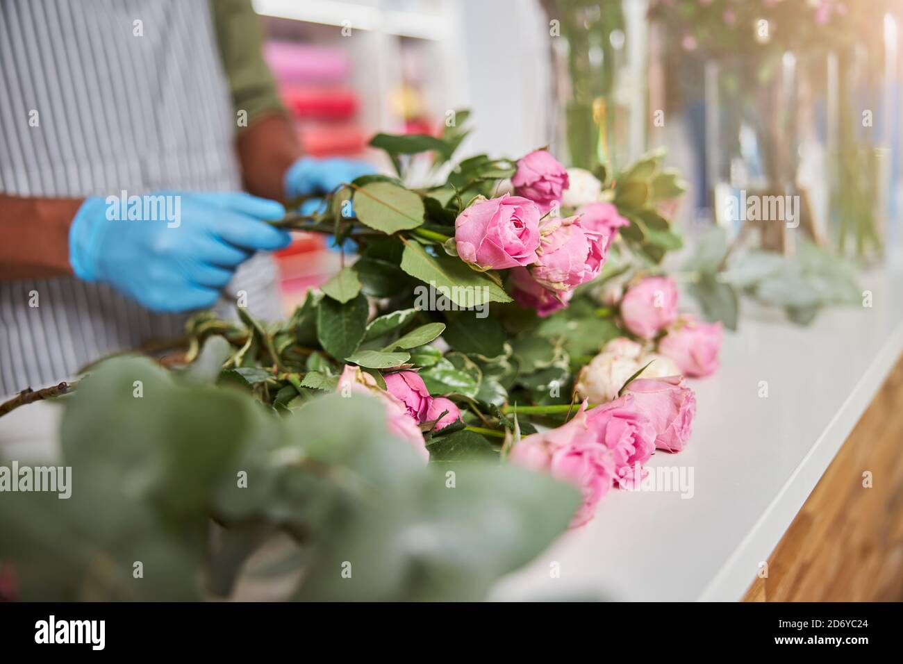 American beauty roses hi-res stock photography and images - Alamy