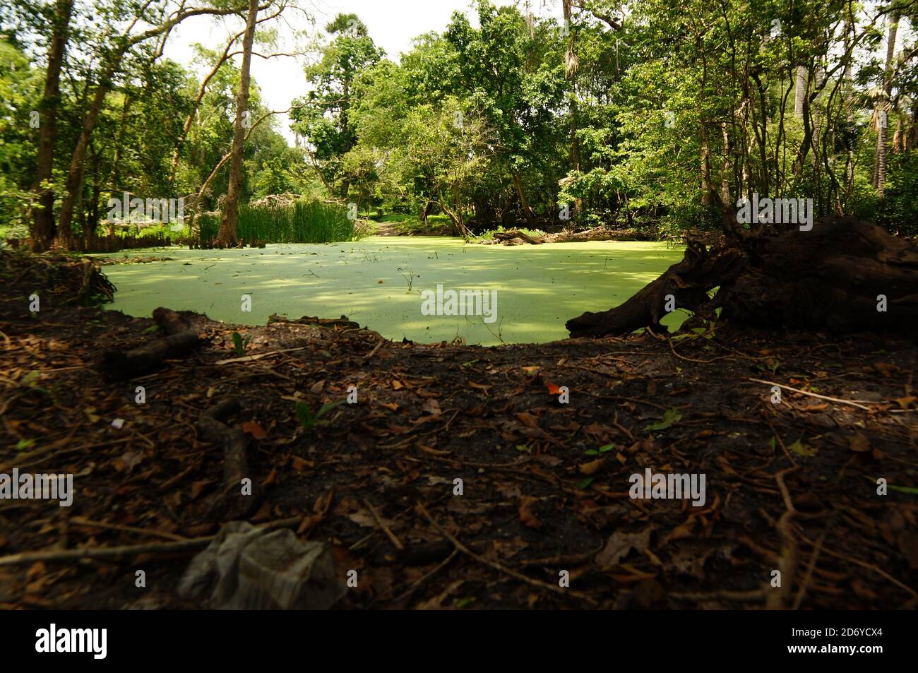 Water discharge hi-res stock photography and images - Alamy