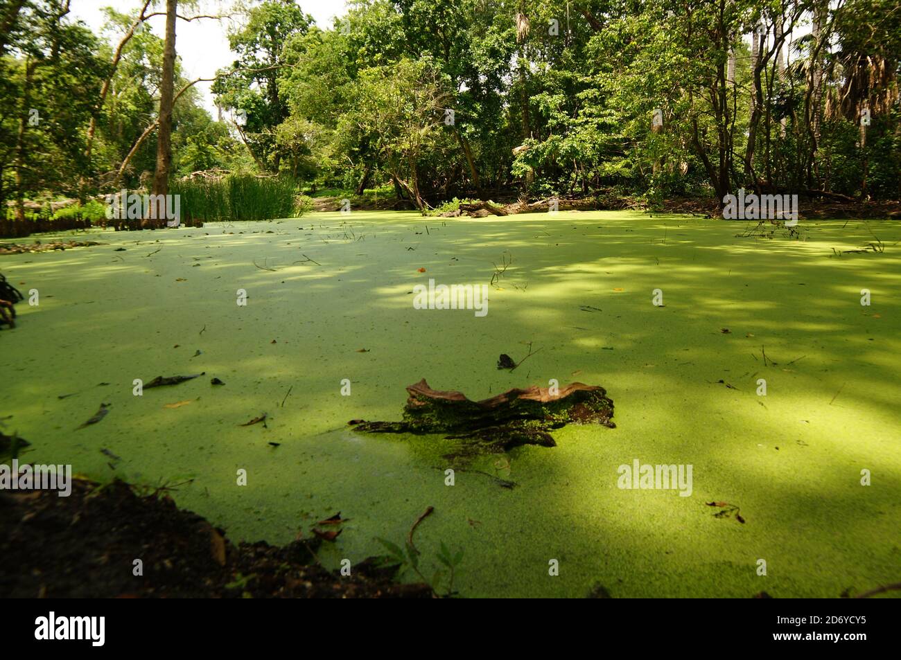 Water discharge hi-res stock photography and images - Alamy