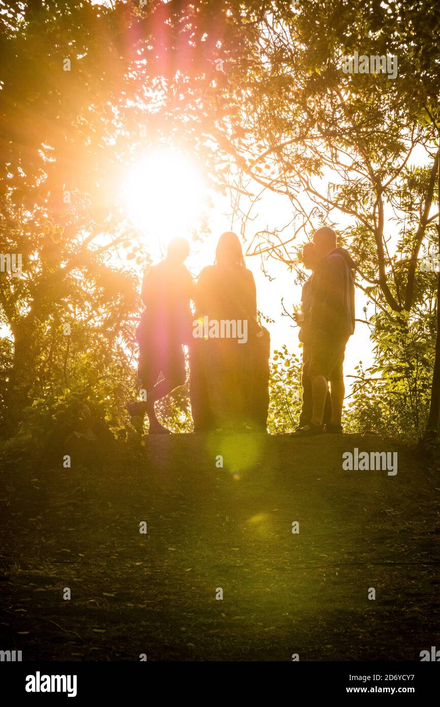 Four people standing in the circle in the wood during sunset Stock ...