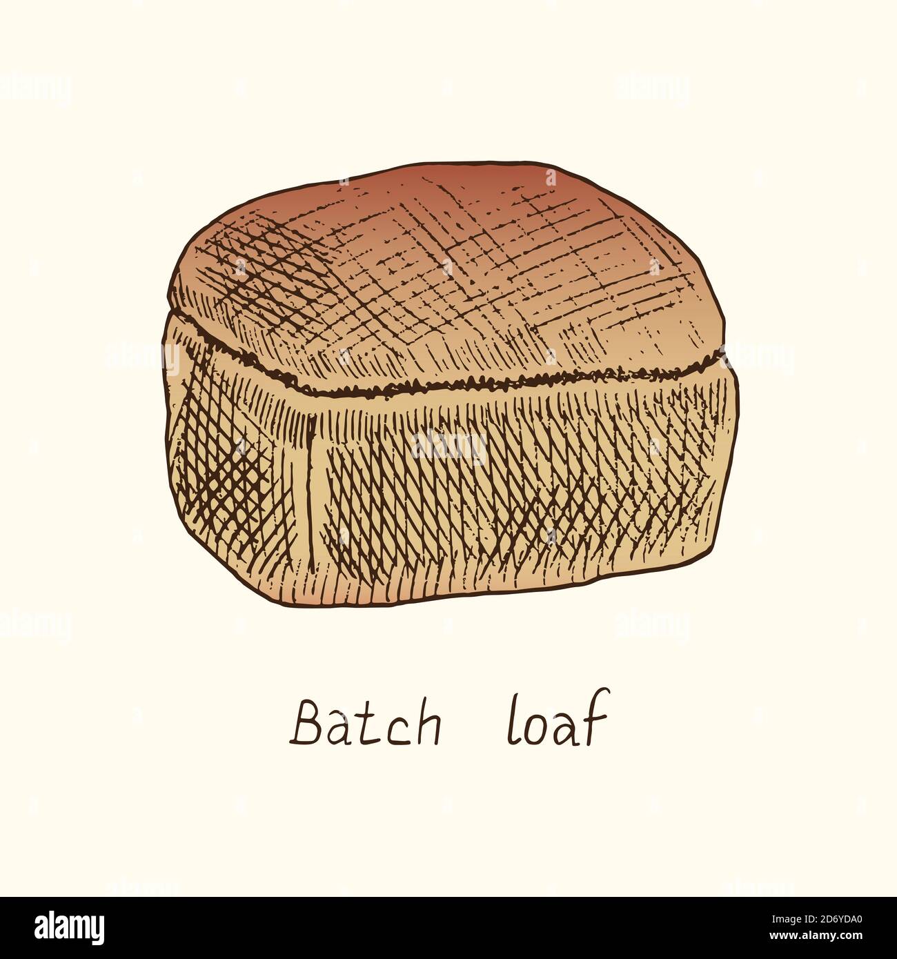 Batch loaf, hand drawn doodle, sketch, color illustration with ...