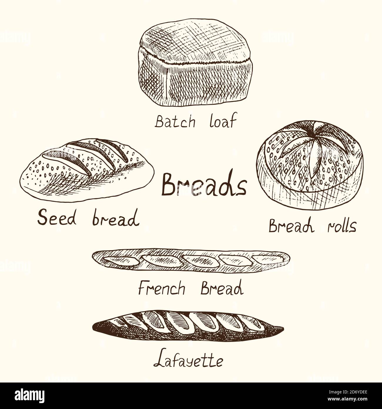 Breads variety set: batch loaf, seed, bread rolls, French bread and ...