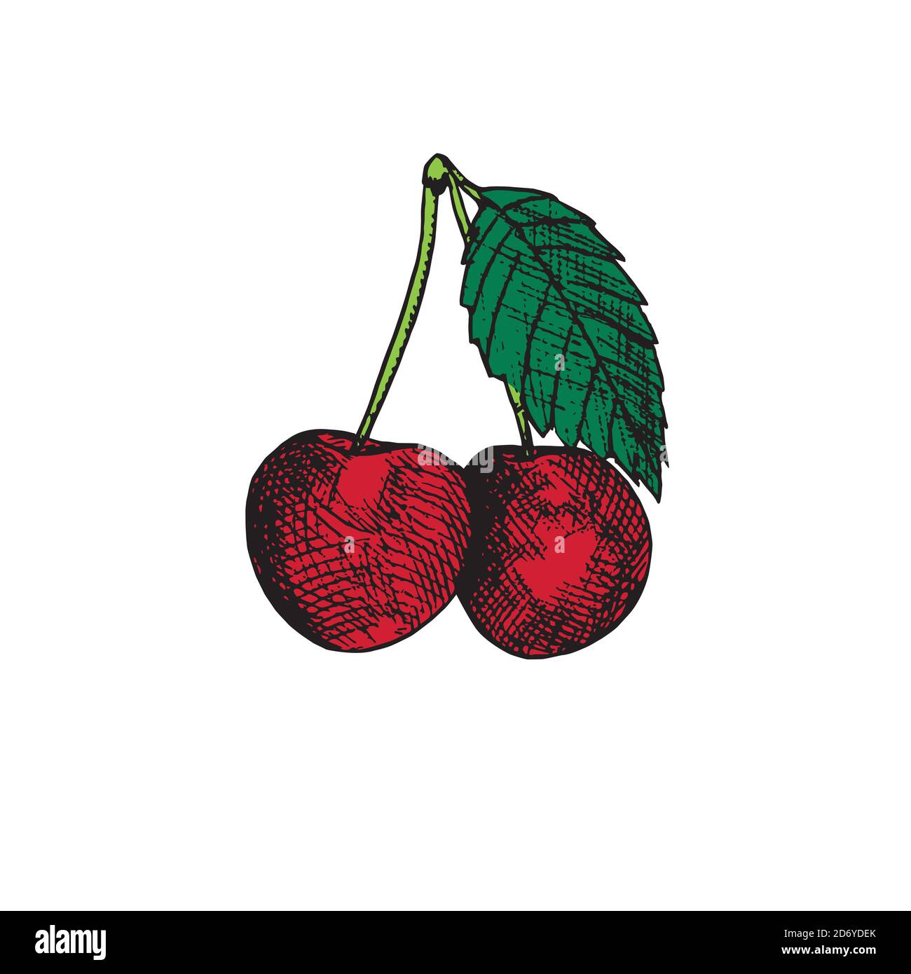 Cherry with leaf, hand drawn doodle, sketch, color illustration Stock ...